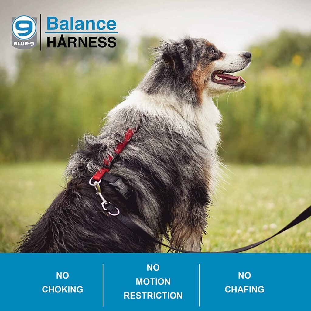 Blue 9 Balance Harness - Prancing Pony Farm Maremma Sheepdogs