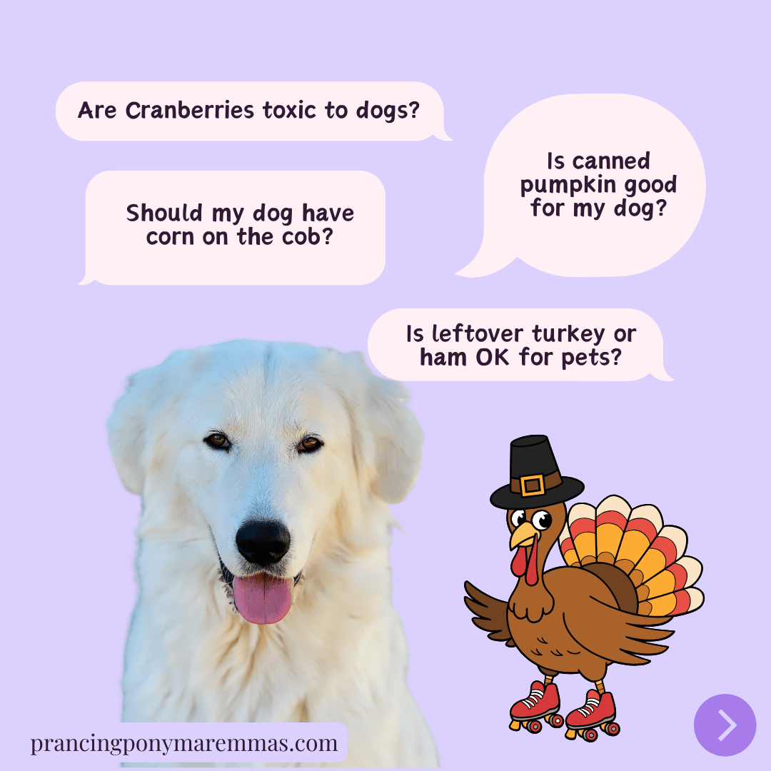 Thanksgiving Safety Tips for Livestock Guardian Dogs - Prancing Pony ...